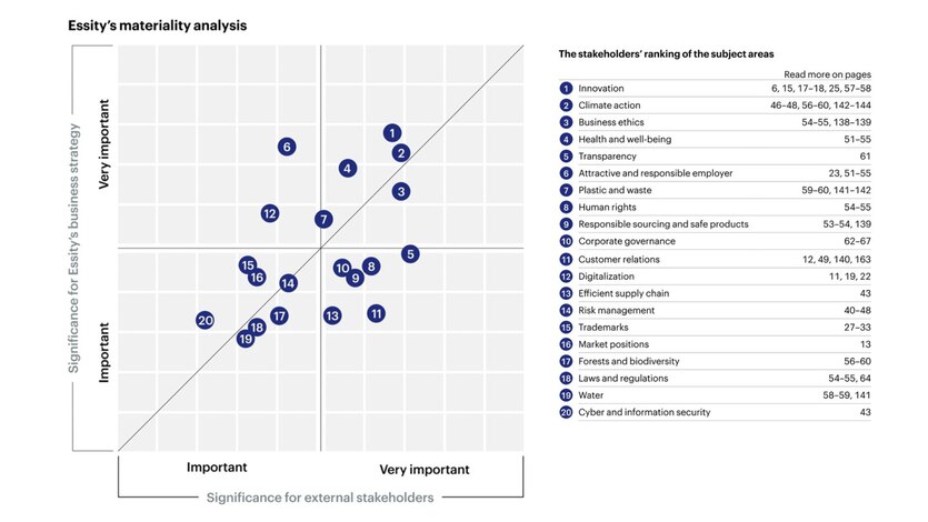 Materiality Analysis and Process