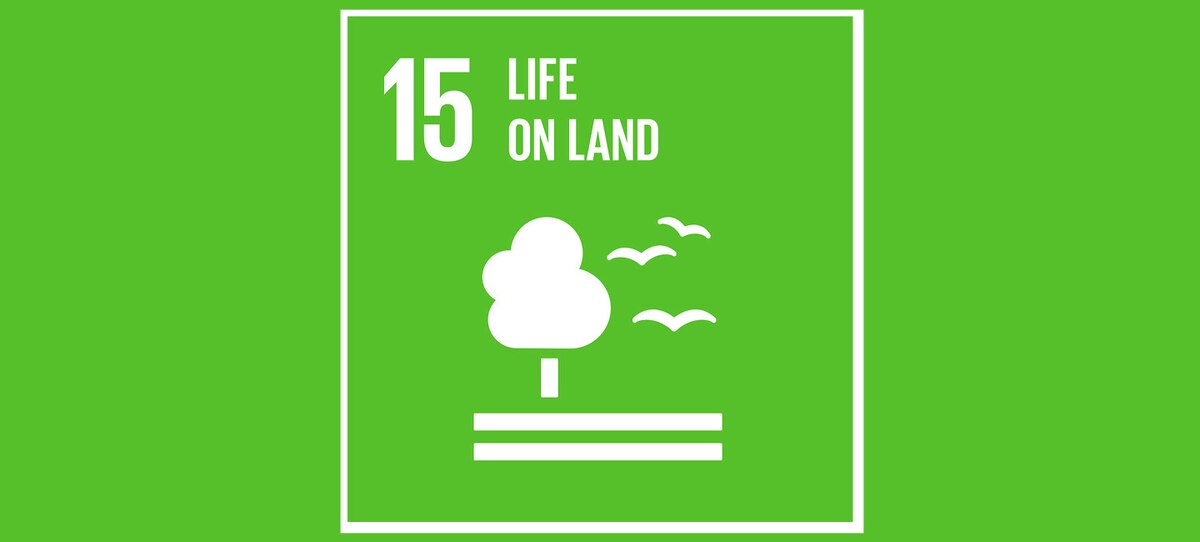 Goal 15: Life on Land