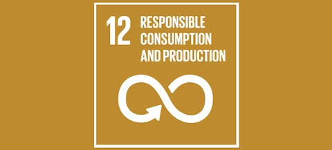 Our approach to the UN Sustainable Development Goals