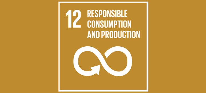 Our approach to the UN Sustainable Development Goals