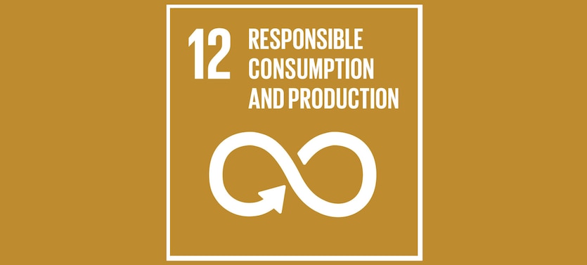Goal 12: Responsible Consumption and Production