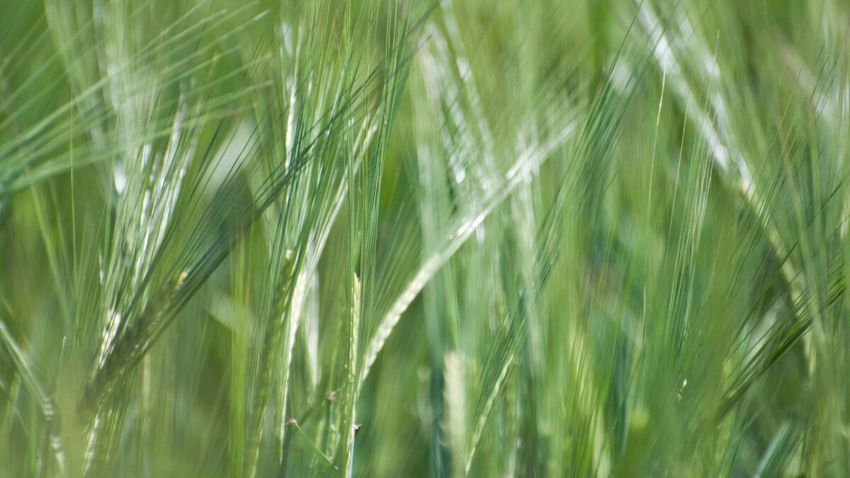 Responsible sourcing