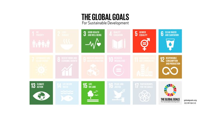 Our approach to the UN Sustainable Development Goals